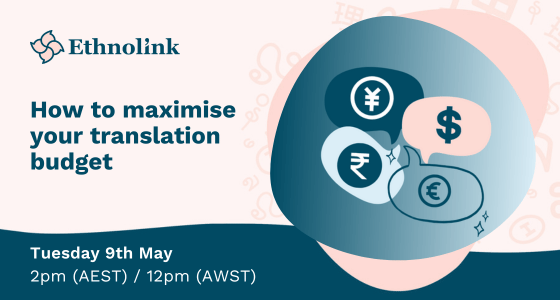 How to maximise your translation budget
